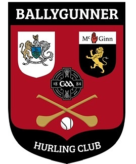Ballygunner finish off strong to see off Na Piarsaigh – Hawkeye Sidekick